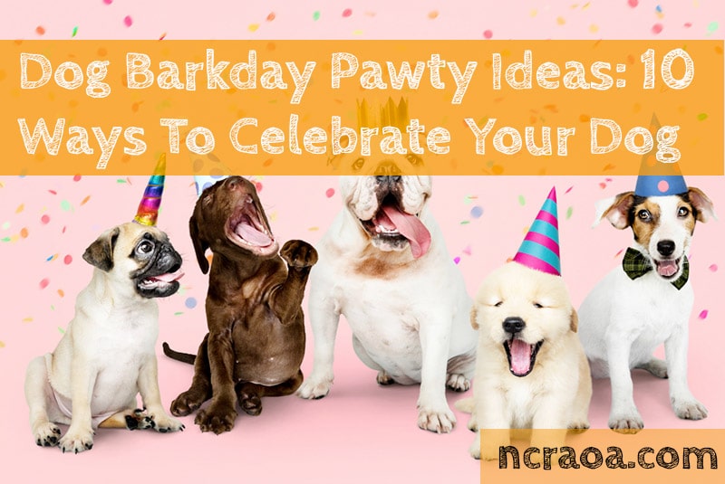 Dog Barkday Pawty Ideas: 10 Great Ways To Celebrate Your Dog's Birthday ...